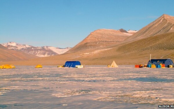 noiembrie 2012 | News Alert Media Center