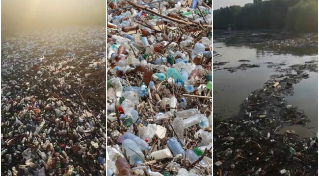 Poluare pe Dunăre. Video cu tonele de deșeuri strânse la Galați, după ...