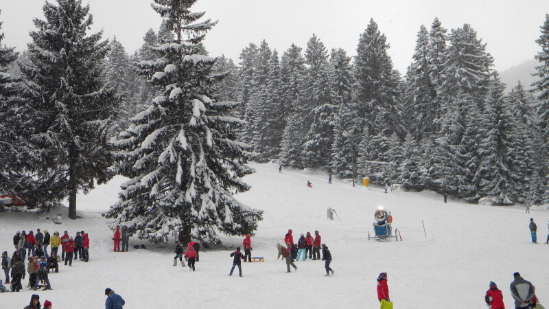 STATIUNEA RAUSOR - Stirileprotv.ro