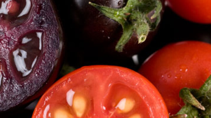 Cercetatorii britanici au realizat, in laborator, primele rosii mov ...