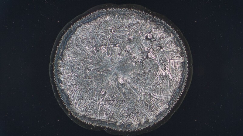 Cum arata lacrimile noastre la microscop. Ce a observat un fotograf ...