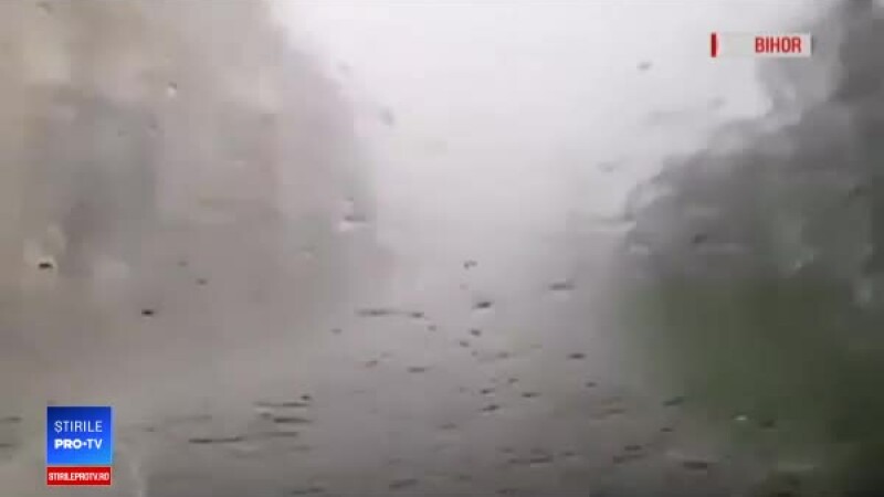 Stiri de Ultima Ora | Stirile Zilei Online - Stirileprotv.ro