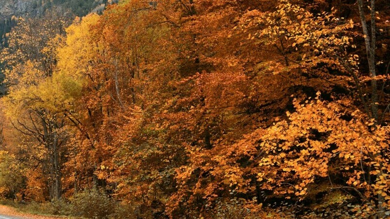 Satul românesc în care mai locuiesc doar doi oameni: În cel mult 10 ani ...