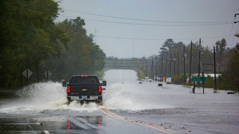 Copoiul dobrogean, a cincea rasa de caine 100% romanesc. Planul ...