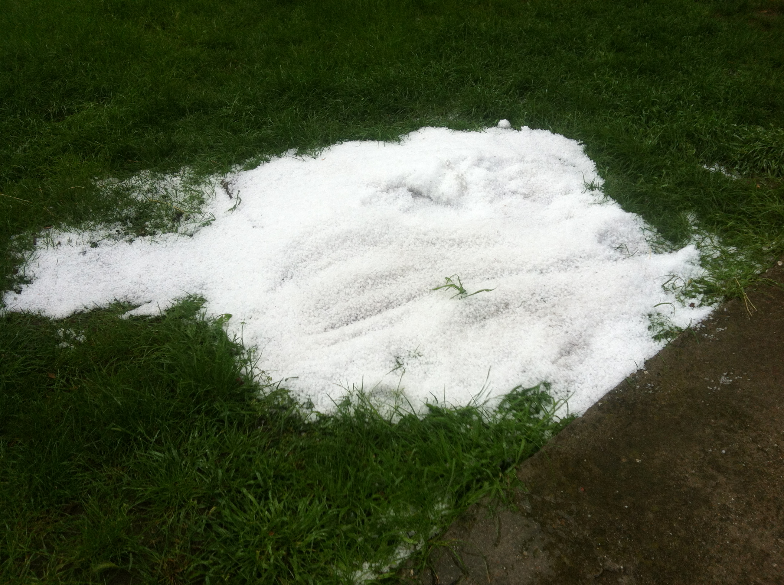 Grindina la Timisoara! O ploaie torentiala a acoperit strazile de ...