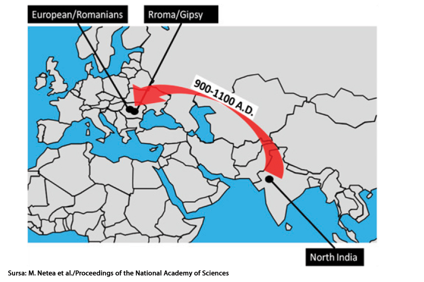 "Moartea neagra" din 1347 si ADN-ul romilor din ROMANIA. Ce spune ...