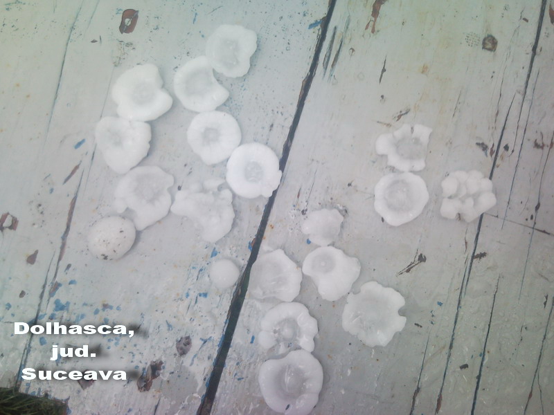 Grindina cat oul de rata in Dolhasca si Dolhesti! - Stirileprotv.ro